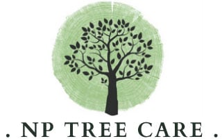 Tree Surgery in Potters Bar, Hertfordshire | NP Tree Care